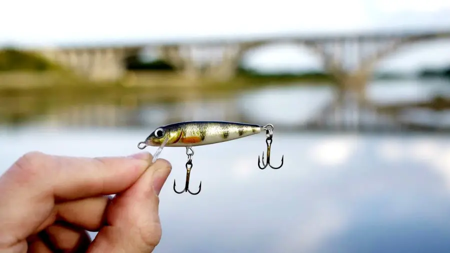 Bachforelle angeln: Köder, Montage, Ausrüstung