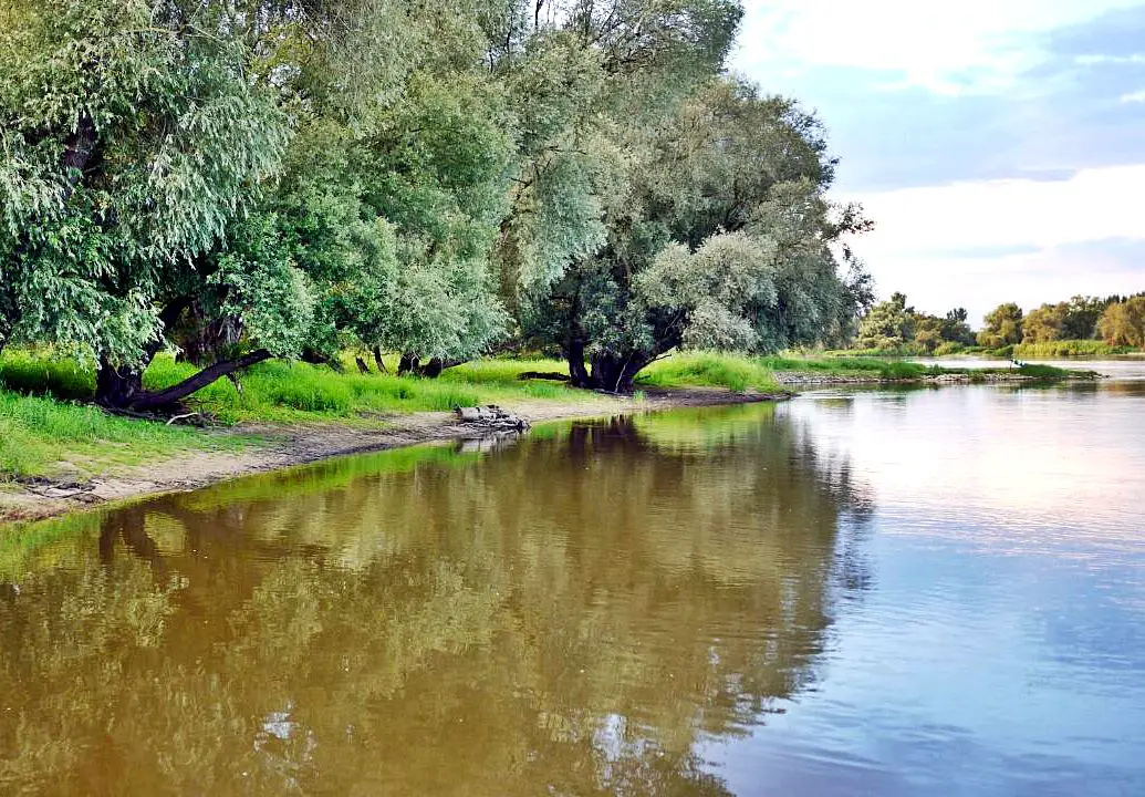 Angeln im Neckar | Simfisch.de – Angeln und Outdoor!