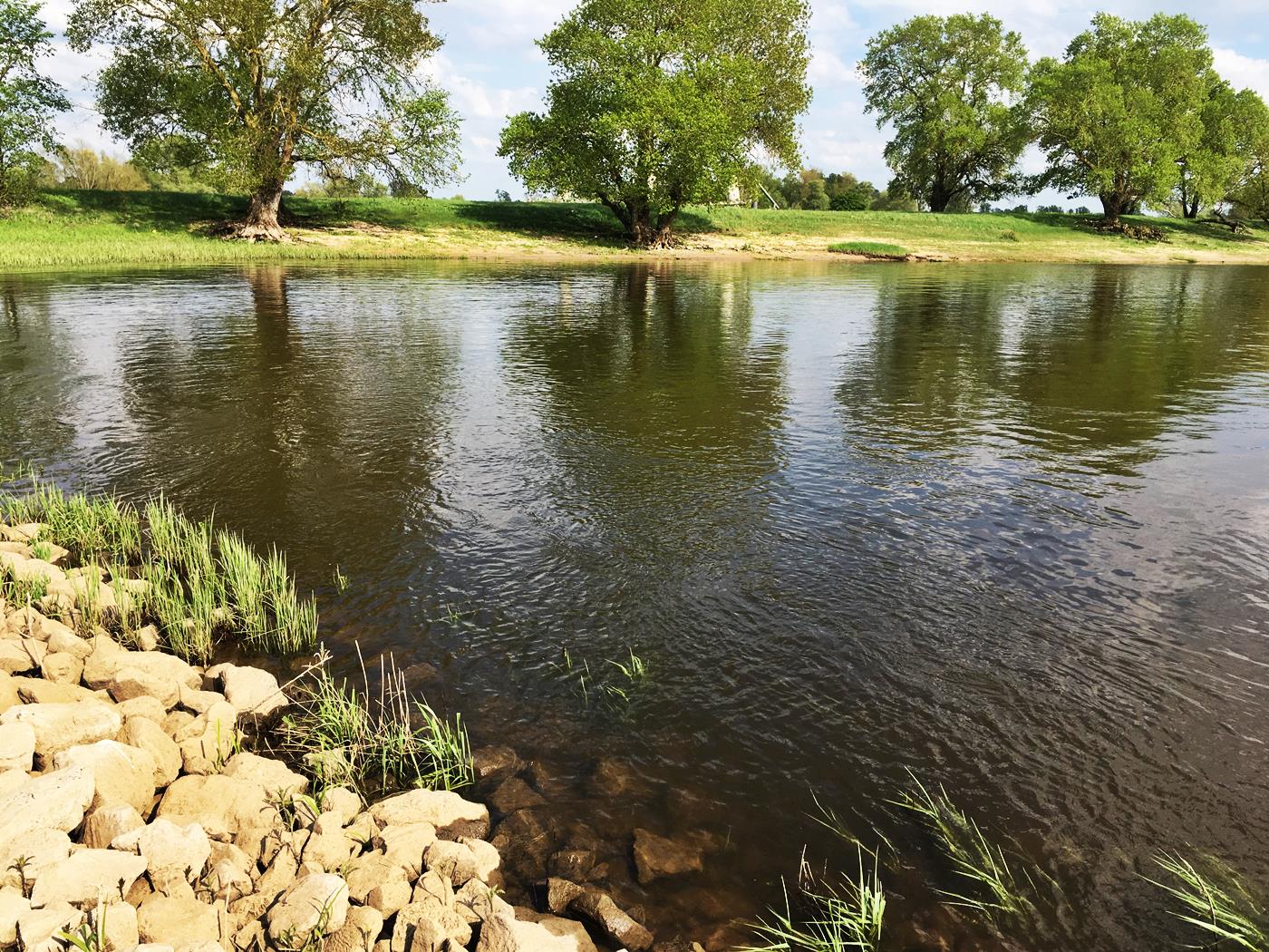 Fischen mit Reuse und Senke | Simfisch.de – Angeln und Outdoor!