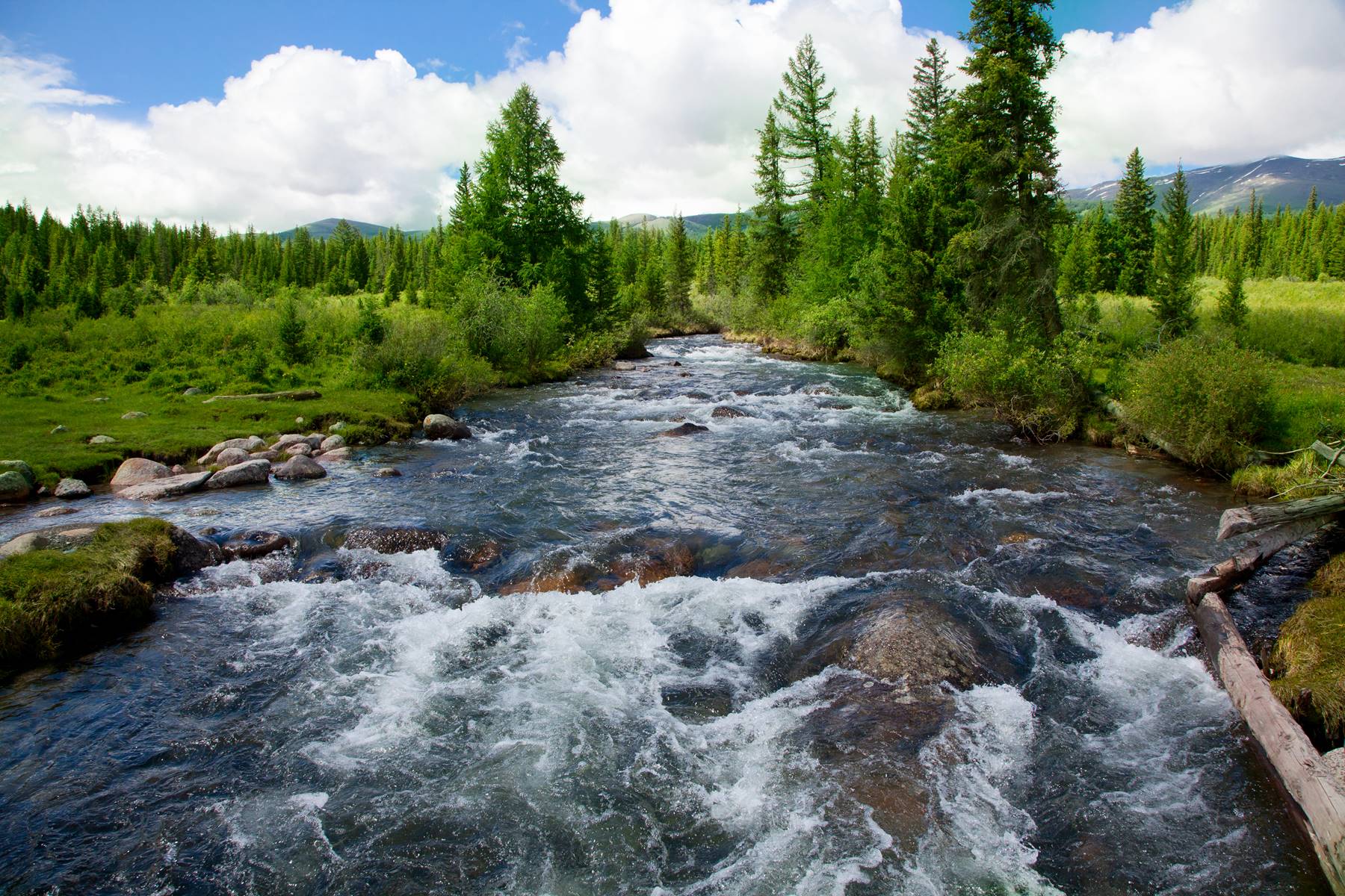 Outdoor Kataloge 2019/20 gratis bestellen | Simfisch.de – Angeln und ...