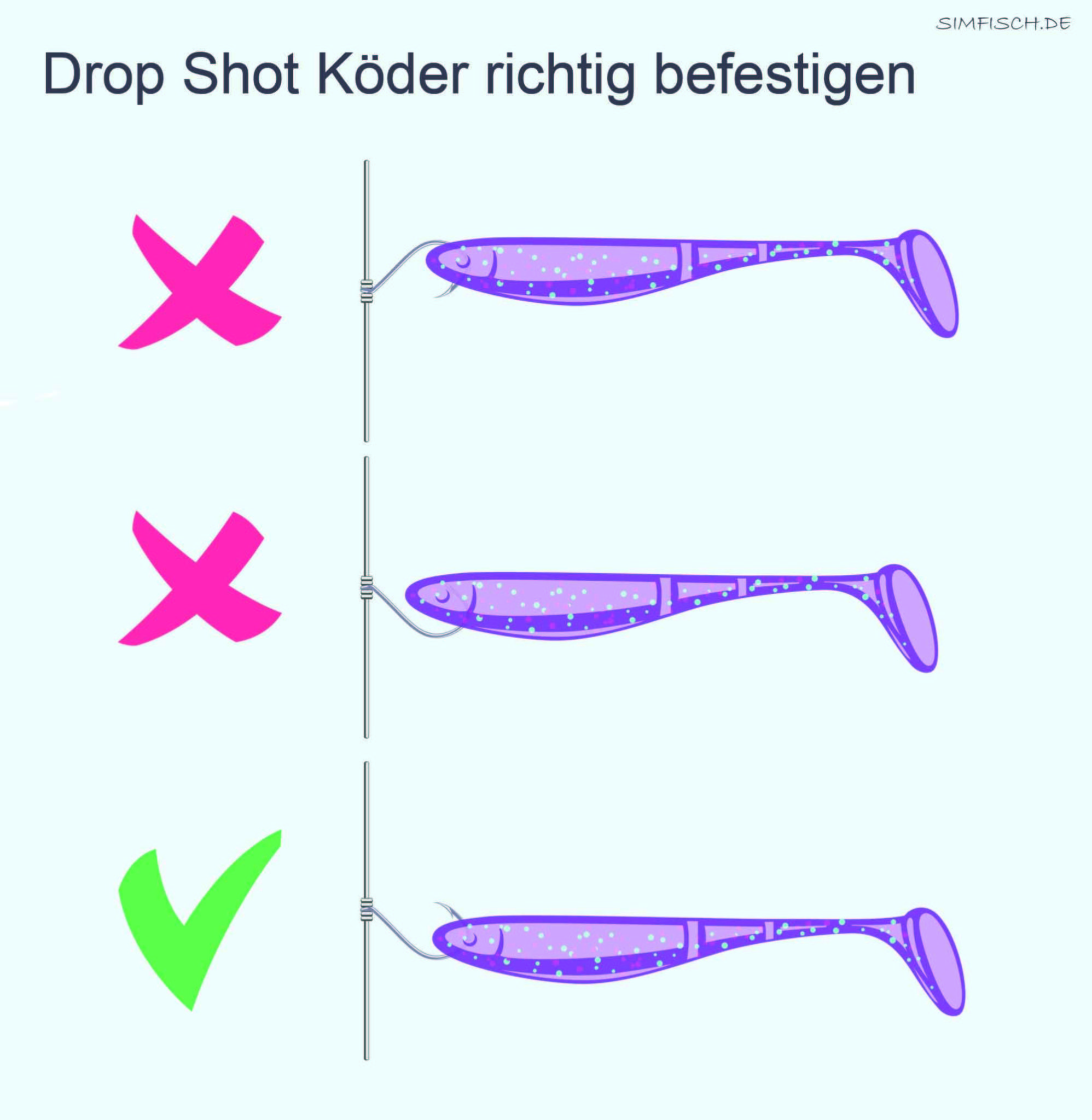 Drop-Shot Montage: Klassisch oder mit Seitenarm