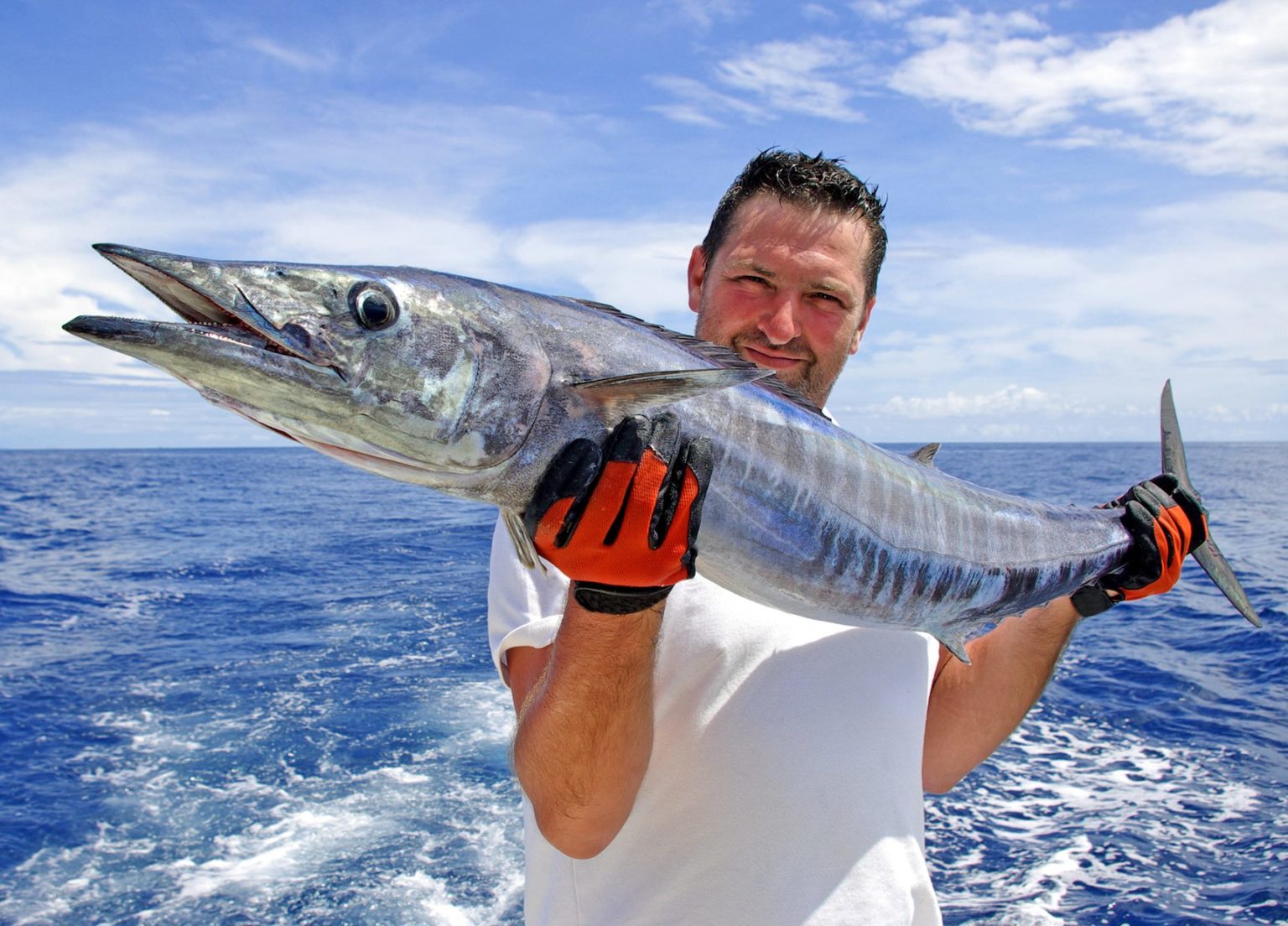 Wahoo: Alle Infos zum besonderen Meeresfisch